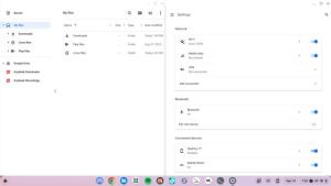 How to Split Screen on a Chromebook (5 Methods) | Beebom
