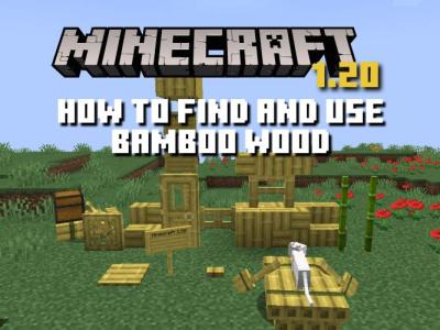 Minecraft 1.20 Snapshot 22w45a Adds New Bamboo Blocks and Redesigns Vex | Beebom