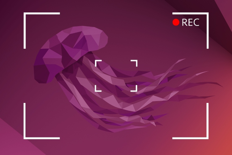 8 Best Screen Recorders For Linux (2022) | Beebom