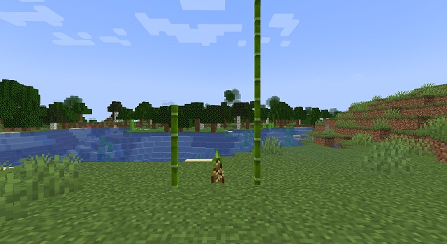 How to Make Bamboo Farm in Minecraft - Beebom - moKoKil