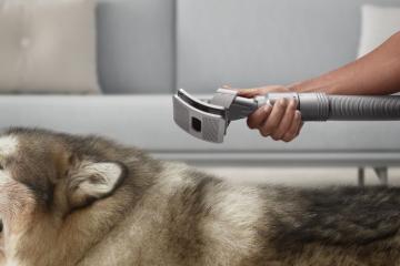 Dyson Introduces New Pet Groom Tool in India; Check out the Details ...