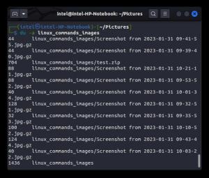 50+ Essential Linux Commands You Should Know | Beebom