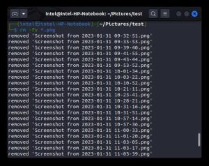 50+ Essential Linux Commands You Should Know | Beebom