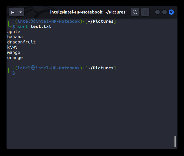 50+ Essential Linux Commands You Should Know | Beebom