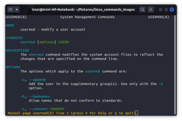 50+ Essential Linux Commands You Should Know | Beebom