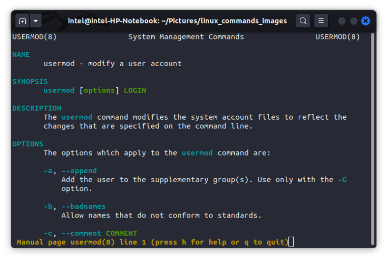 50+ Essential Linux Commands You Should Know | Beebom
