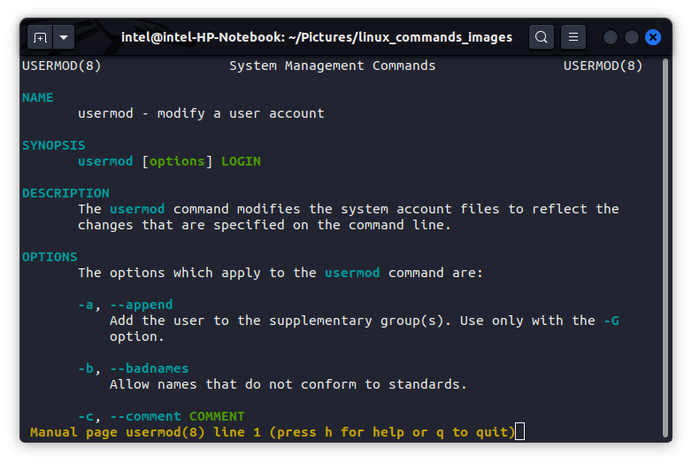 Top 50+ Essential Linux Commands You Should Know (2024) | Beebom