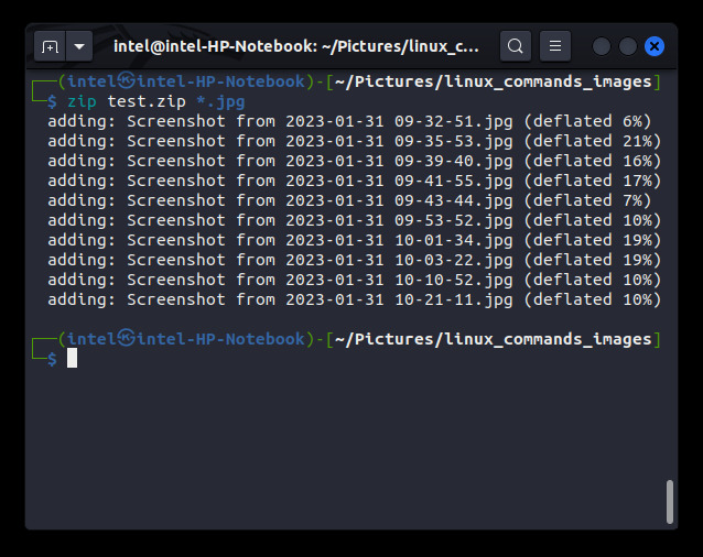 50+ Essential Linux Commands You Should Know | Beebom