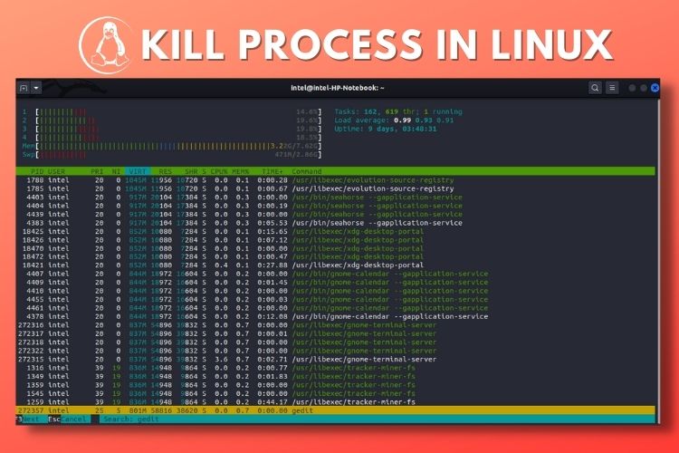 How To Kill A Process In Linux 2023 Guide Beebom