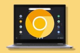 How To Switch To Canary Channel On Your Chromebook Beebom