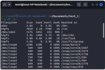 How to Check Disk Usage in Linux (4 Methods) | Beebom