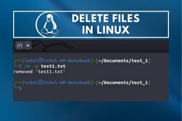 How to Delete a File in Linux (5 Methods) | Beebom