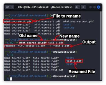 How to Rename a File in Linux in 2024 (4 Methods) | Beebom