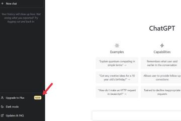 ChatGPT's Subscription Plan Can Now Be Bought in India | Beebom