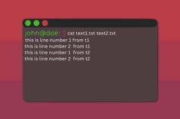 How To Use Cat Command In Linux with Examples Beebom