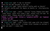 How to Use ChatGPT in Linux Terminal (2024) | Beebom