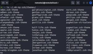 How to Install zsh and Oh My Zsh on Linux | Beebom