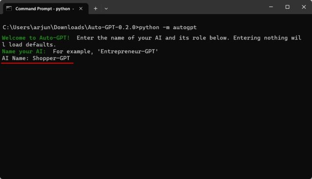 如何安裝和使用 Auto-GPT：一種自主 AI 工具 - 0x資訊