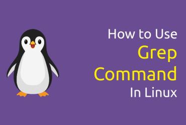 Grep Command in Linux: Syntax, Options, Examples, & More | Beebom