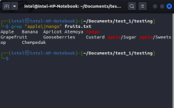 Grep Command in Linux: Syntax, Options, Examples, & More | Beebom
