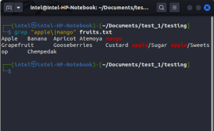 Grep Command in Linux: Syntax, Options, Examples, & More | Beebom