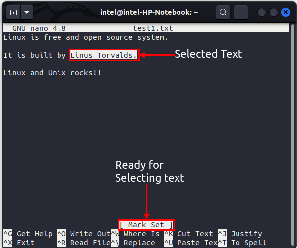 How To Use Nano Command Line Text Editor In Linux Beebom