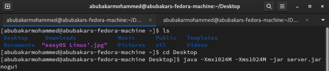 How to Set up a Minecraft Server on Linux (2024) | Beebom