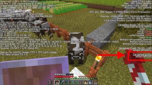 Minecraft F3 Debug Screen Explained | Beebom