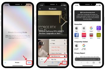 How to Go Incognito in Safari on iPhone, iPad & Mac | Beebom