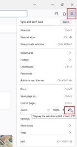 How to Go Full Screen in Windows 11 | Beebom