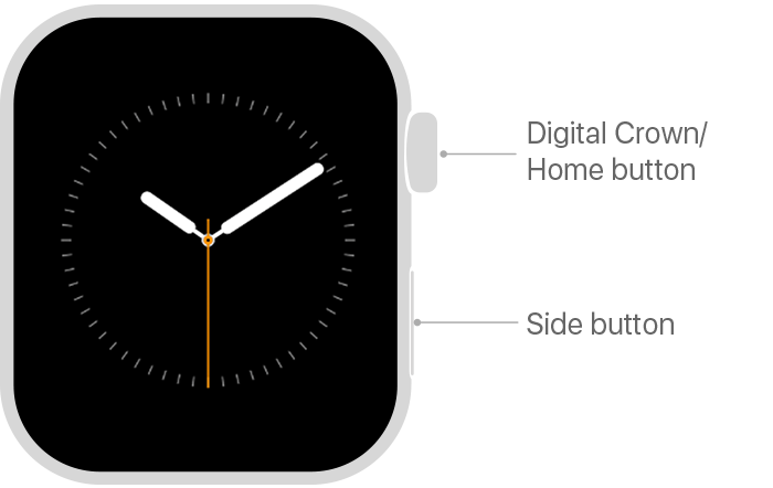 How to Turn Apple Watch On and Off | Beebom