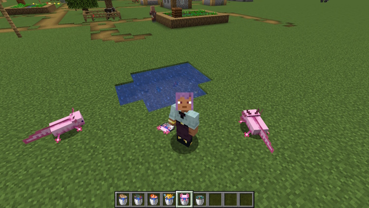 Comment Faire Un Seau Dans Minecraft - Tech Tribune France