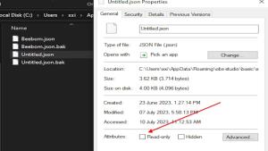 How to Delete a Scene Collection in OBS | Beebom