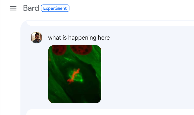 You Can Now Upload Images to Google Bard; Here Are Some Cool Examples ...