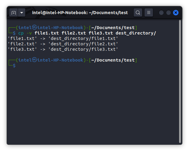8 Best Examples Of Cp Command In Linux Beebom