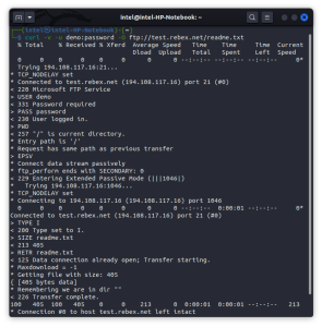 What Is Curl Command in Linux and How to Use It | Beebom