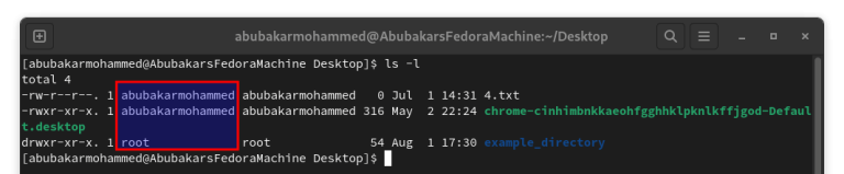 How to Change the Owner of a Directory in Linux | Beebom