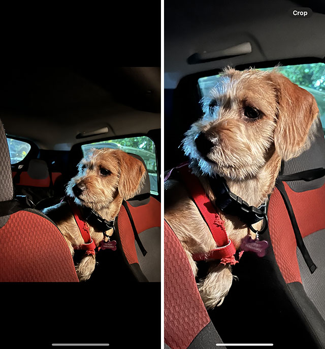 How to Use Quick Crop in Photos App on iPhone | Beebom