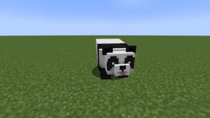 How to Breed Pandas in Minecraft | Beebom