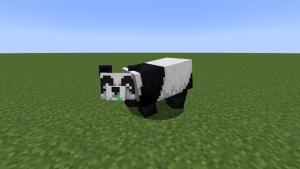 How to Breed Pandas in Minecraft | Beebom