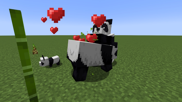How to Breed Pandas in Minecraft | Beebom