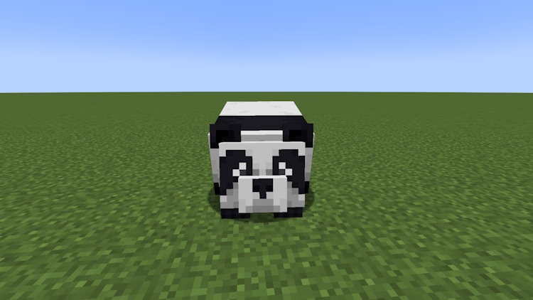 How to Breed Pandas in Minecraft | Beebom