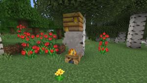How to Get Honey from a Beehive in Minecraft | Beebom