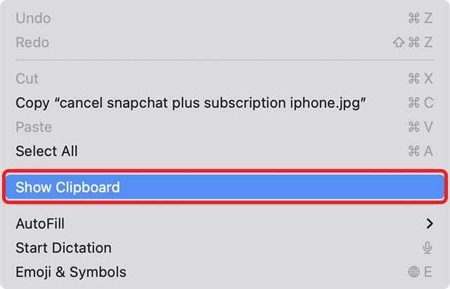 How to View Clipboard History on Mac | Beebom