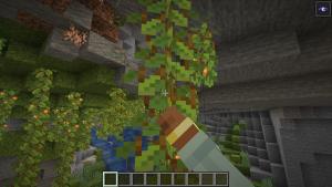 How to Grow Glow Berries in Minecraft | Beebom