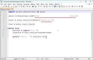 How to Access and Use Google Gemini API Key (with Examples) | Beebom