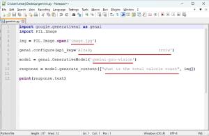 How to Access and Use Google Gemini API Key (with Examples) | Beebom