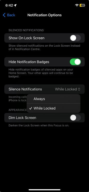 40 Hidden iPhone Tips and Tricks You Should Try in 2024 | Beebom