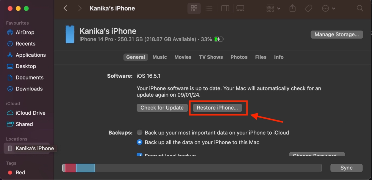 How to Clear iPhone/iPad System Data in 2024 | Beebom