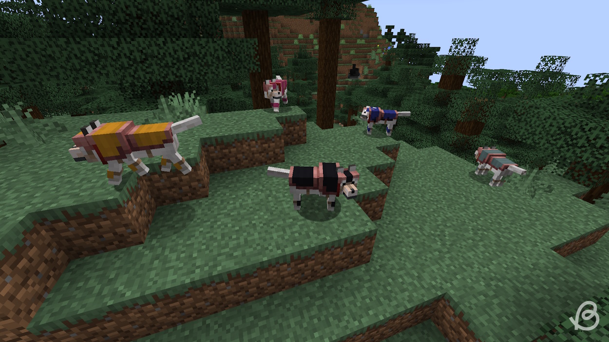 Minecraft Snapshot 24w09a Vous Permet De Teindre L'armure De Loup ...